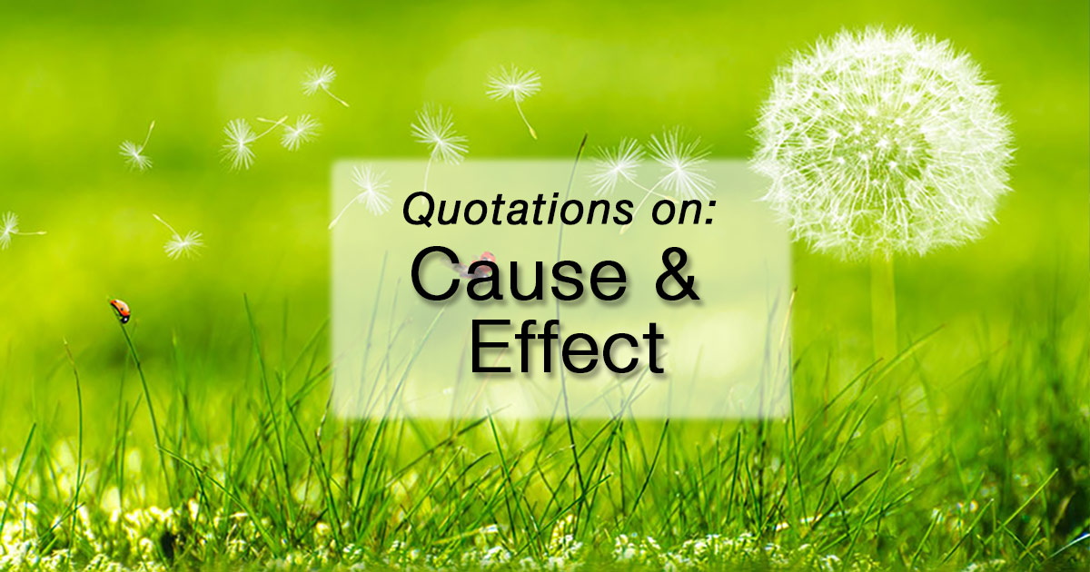 Quotations On the Theme of Cause and Effect | Daisaku Ikeda Official ...