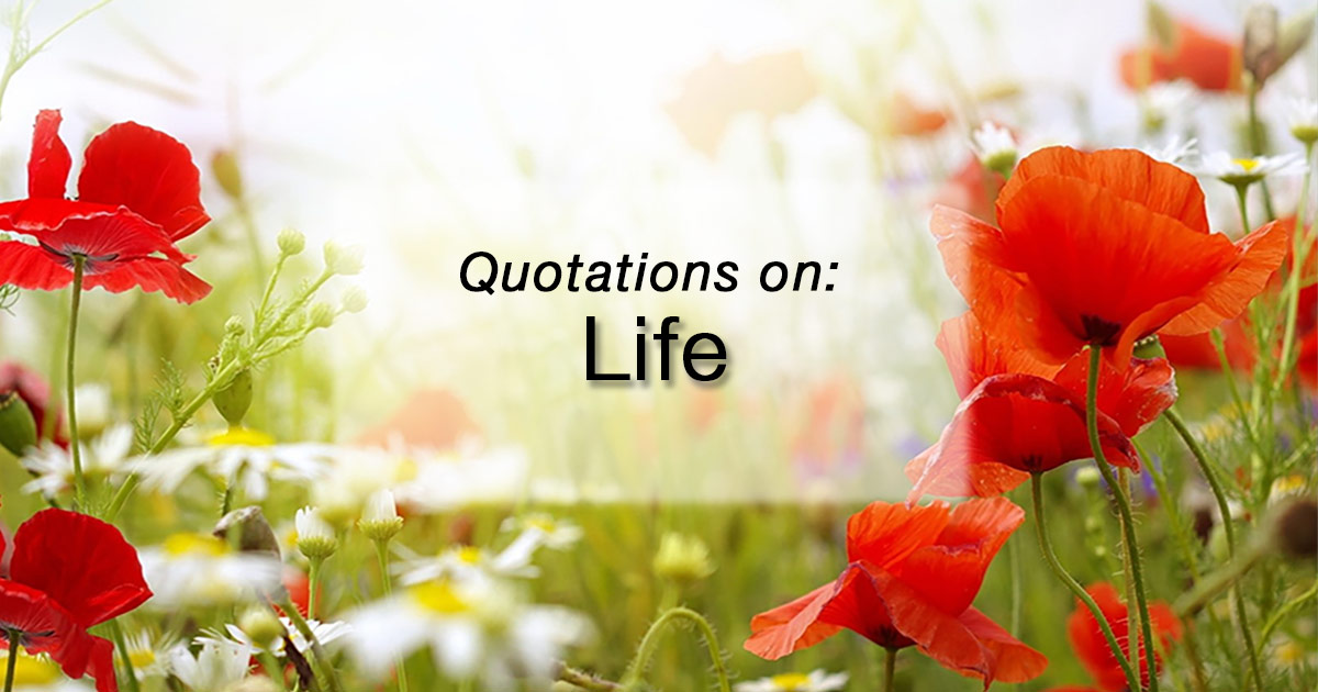 Quotations On the Theme of Life | Daisaku Ikeda Official Website