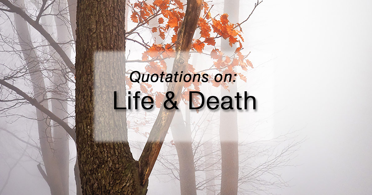 Dignity Death Quotes Death With Dignity | Mantra For 2025: “I Am The